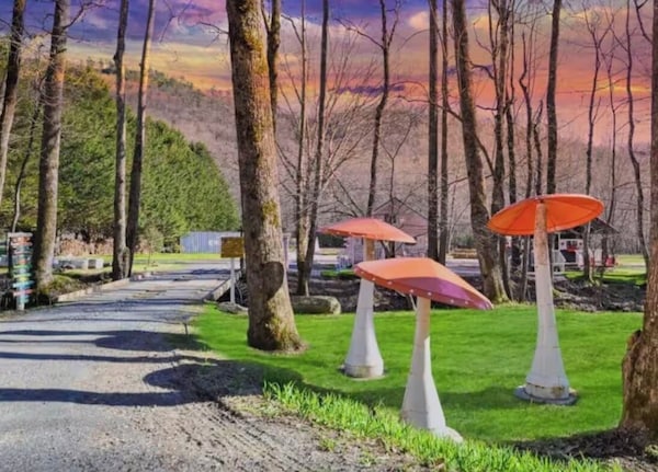 Whimsical Candy Cabin In Blue Ridge With Lollipop Garden, Firepit & Petting Zoo - Hiawassee, GA