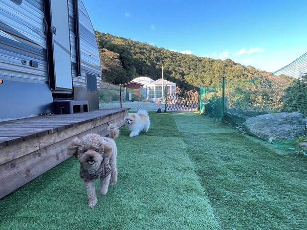 For 4 People Dogs Welcome Dome Tent 6me Traile / Ito Shizuoka - 