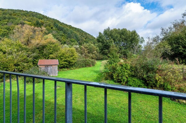 Ferienwohnung 'Alte Mühle In Dernbach Og' Mit Privater Terrasse, Gemeinschaftsgarten Und Wlan - Leinsweiler