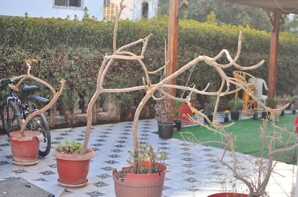 Morning Star Guesthouse - Sharm El-Sheikh