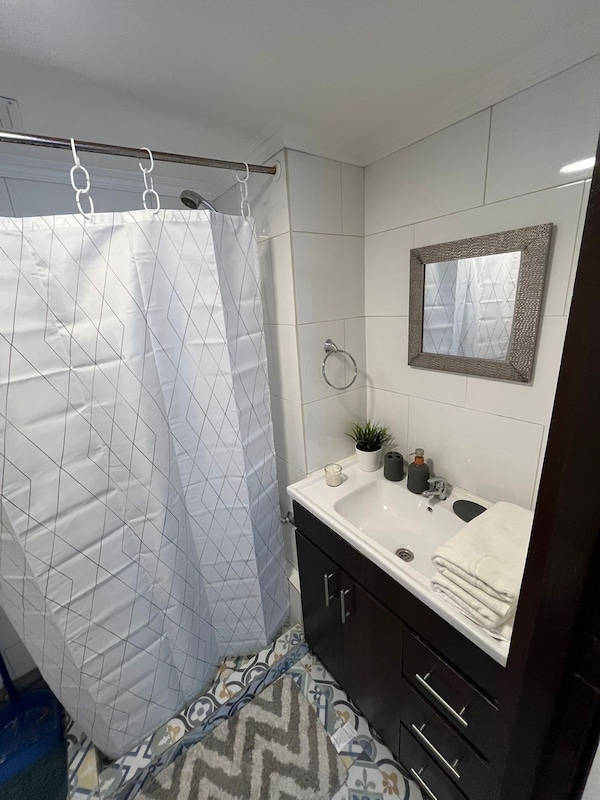 Centrally Located Apartment In Providencia - Barrea