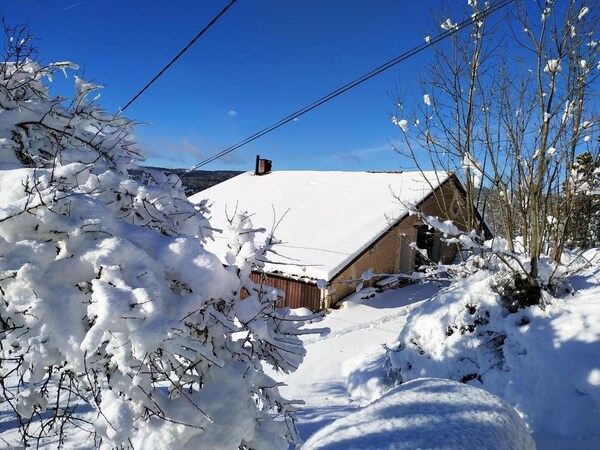 Milou - Saint Germain De Joux - Ain