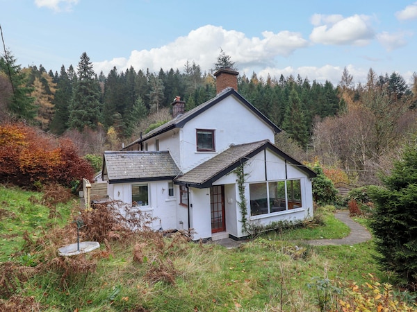 1 Minafon, Family Friendly, Character Holiday Cottage In Bala - Bala