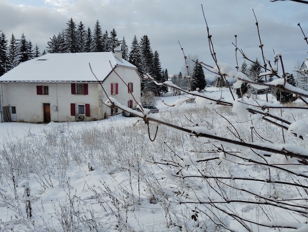 Appartement De Charme Dans Ferme Jurassienne Rénovée - Cadre Pleine Nature. - Les Rousses