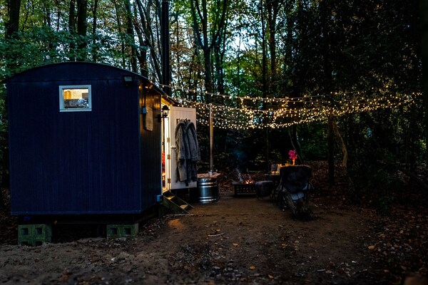 If You Go Into The Woods Today... Off-grid Yet Comfy, Warm And Luxurious - Kent