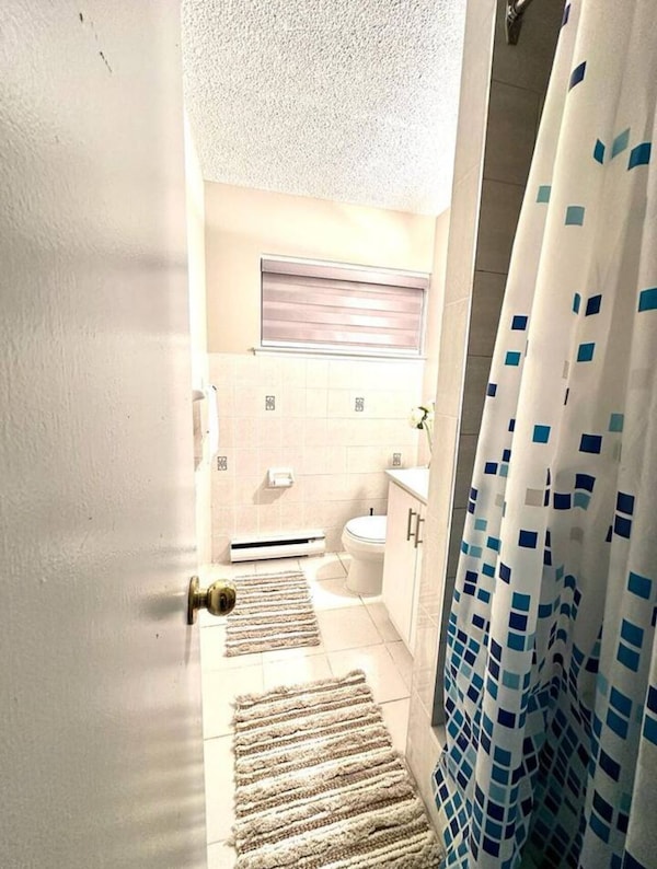 Private Home With Large Bedroom And Spacious Common Areas With Patio. - Mississauga