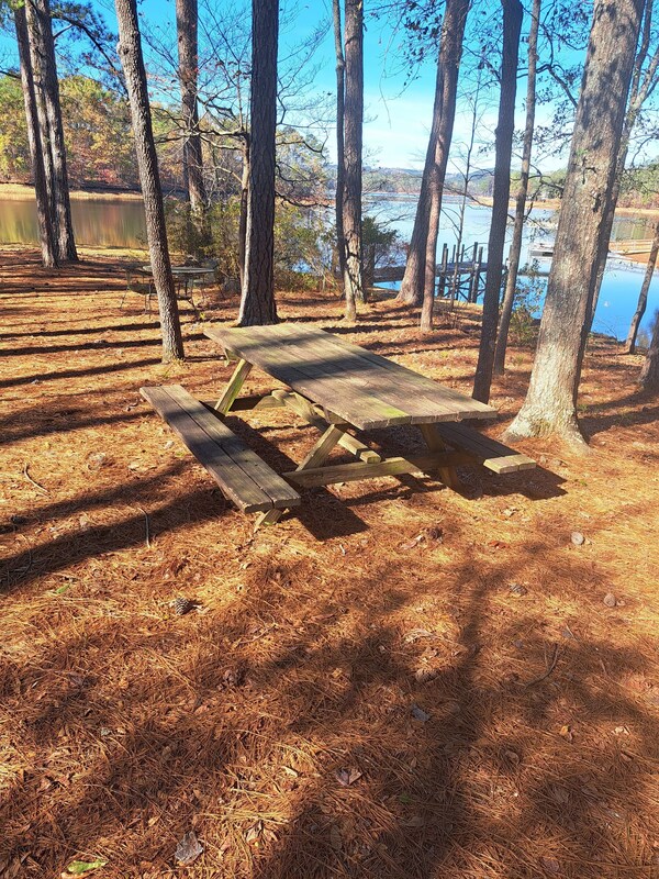 Pine Wood Lodge 5bedroom/3bath Sleeps 16+ - Alabama