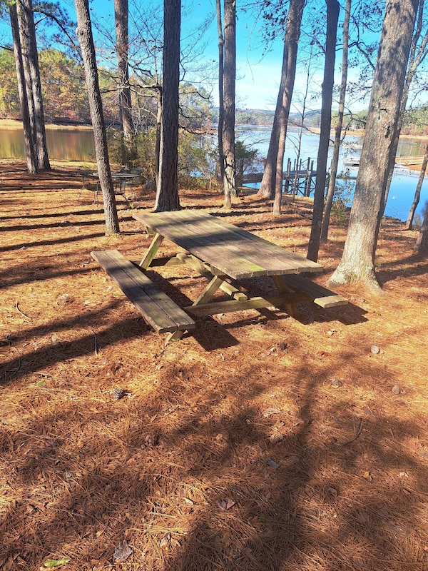 Pine Wood Lodge 5bedroom/3bath Sleeps 16+ - Alabama