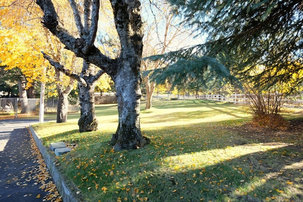 Loveta Hideaway - Mount Shasta, CA