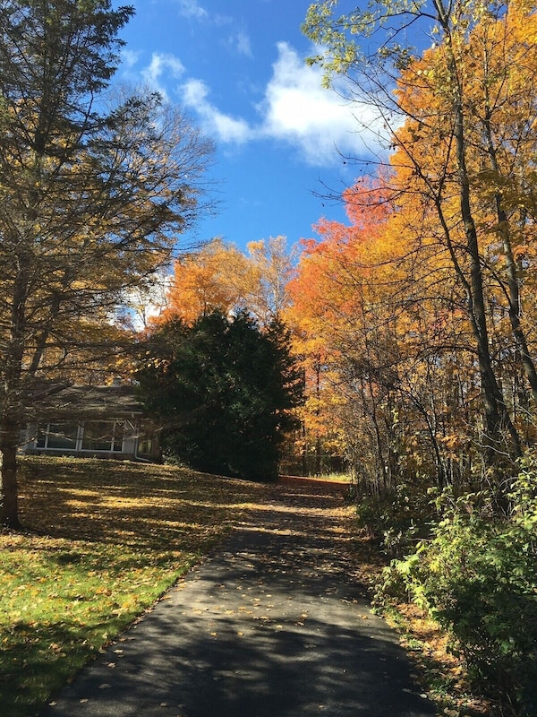 Premier Vacation Rental, Pet Friendly, Walk To Water, Restaurant, Shopping, Wifi - Washington Island, WI