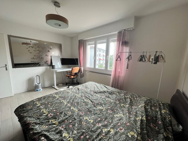 Cozy 1bedroom In Nyon, 10 Min From Central Station - Nyon