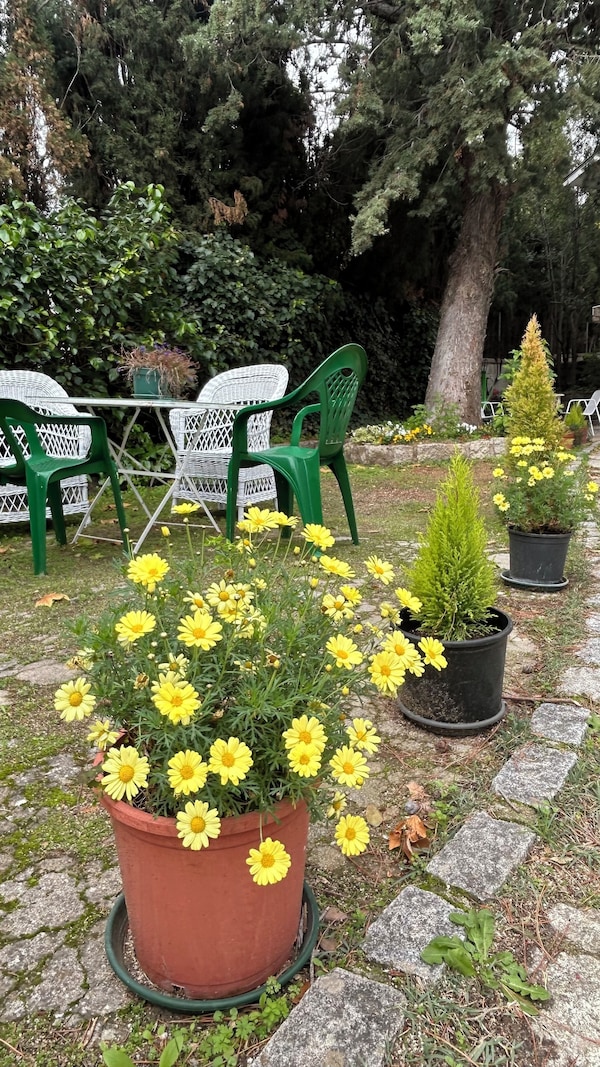 Casa Ideal Para Familias Y Reuniones - Los Molinos