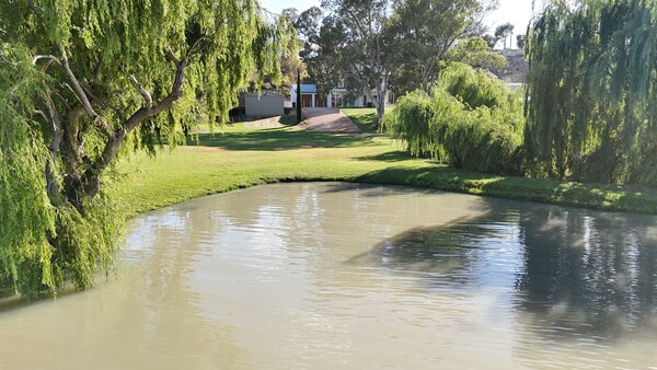 Twin Gums - Exclusive Riverfront Property - Tailem Bend - Tailem Bend