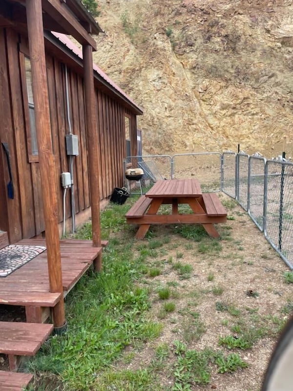 New Listing! "Shady Lady" In Town-mountain Views-2 Bedroom-pet Friendly - Red River, NM