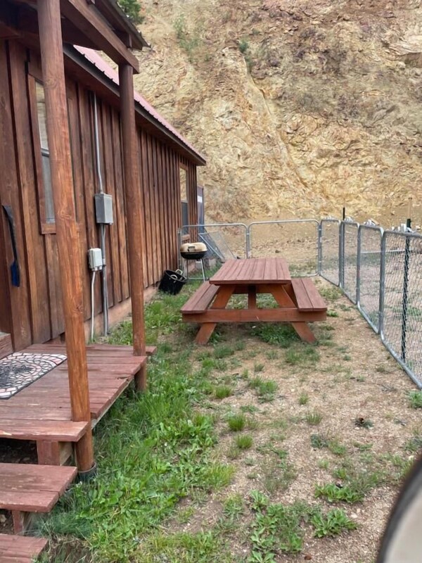 New Listing! "Shady Lady" In Town-mountain Views-2 Bedroom-pet Friendly - Red River, NM