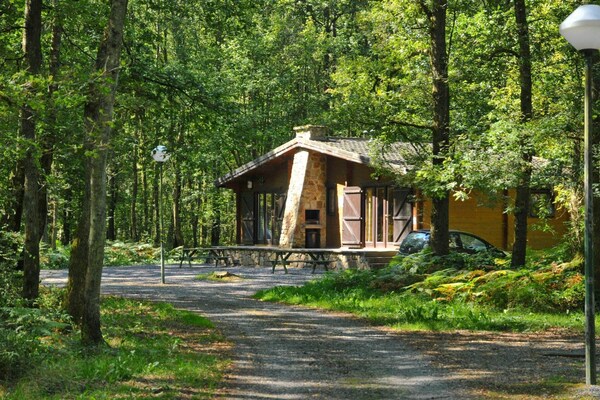 Agradable Chalet En Viroinval Con Terraza - Viroinval