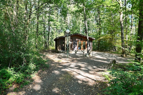 Joli Chalet à Virtoine Avec 2 Chambres - Couvin