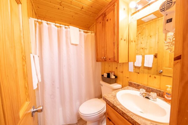Cabin 19 - 1 Bedroom With Spacious Loft - Father Hennepin State Park, Isle