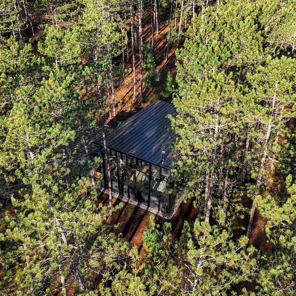 Brand New Black Fox Cabin - Huntsville