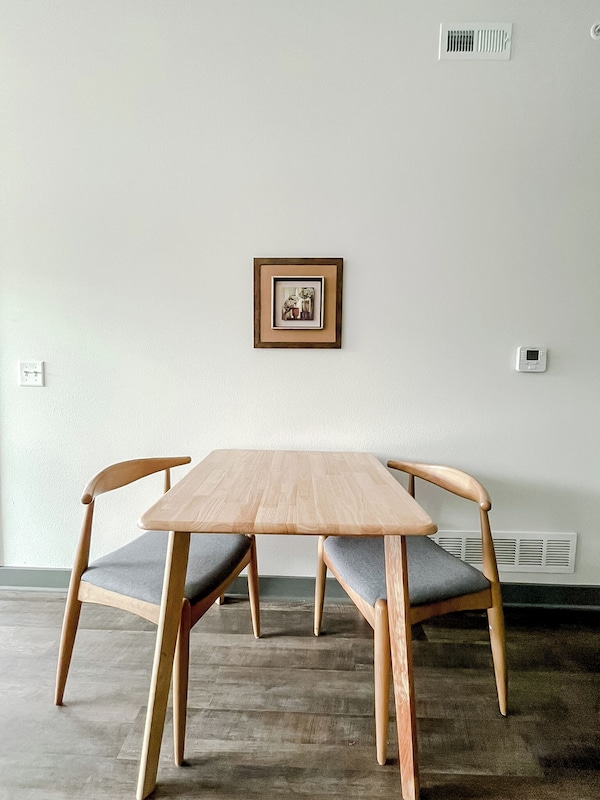 Sleepover: Dashing 1bd/1ba - Des Moines - West Des Moines, IA