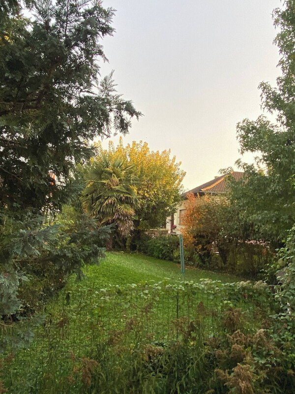 Spacious 2-bedroom Appartment Fully Equiped Close To Strasbourg/pet Friendly - Robertsau