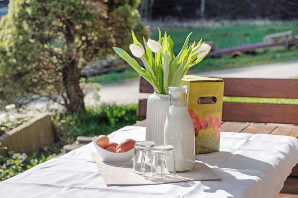 Apartment 'Ferienwohnung Zitrone' With Mountain View, Private Terrace And Wi-fi - Freiburg im Breisgau