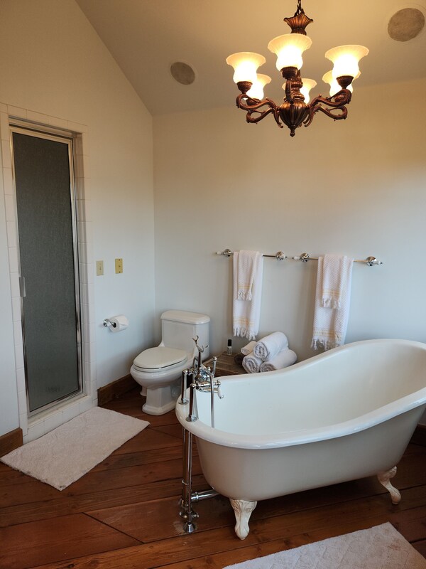 Charming Unique 2-bdrm Farmhouse In Mesa With Wifi, Close To Powderhorn Ski Area - Mesa, CO