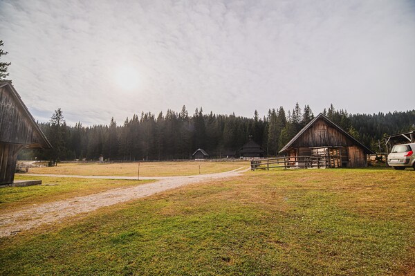 Cottage Of The Rising Sun In Pokljuka Forest - Slovenia