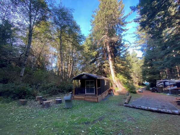 The Black Bear Cabin - 2 Bedrooms In The Redwoods - Klamath, CA