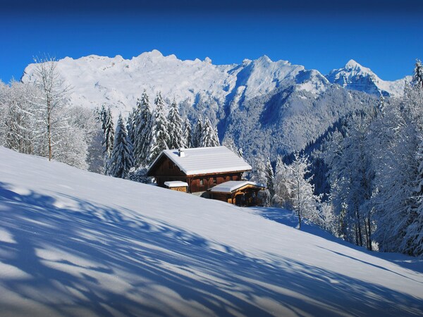 Chalet Les Pellys - Superb Alpine Views And Spa - Ovo Network - Samoëns