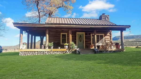 Timeless Mesa Hideaway - Mesa, CO