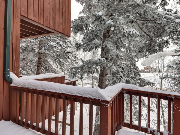Lone Star Retreat  Cozy 1-bedroom Condo With Mountain Views In Brian Head - Brian Head, UT