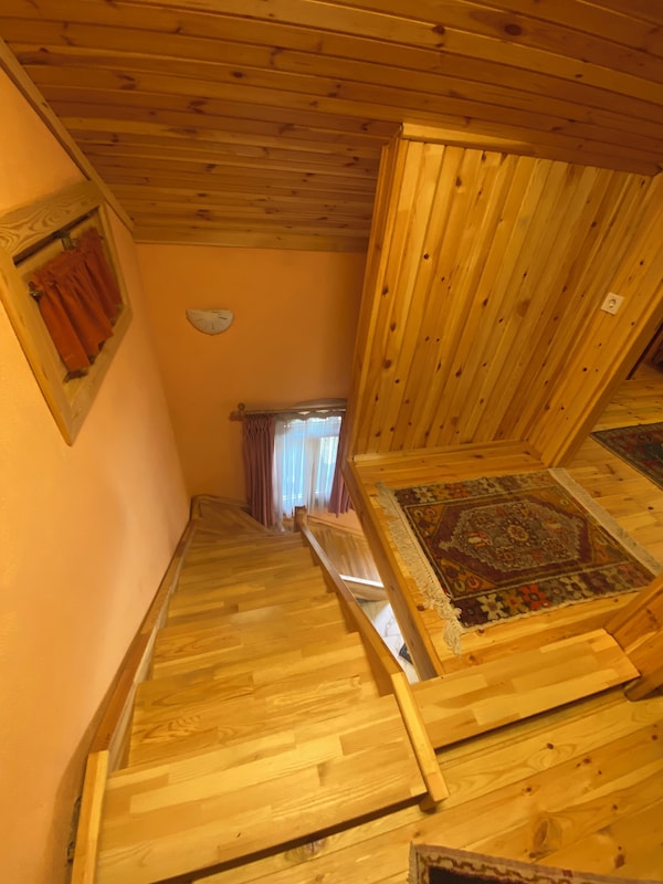 Serbesler Botanik, No:4 - Wooden House\n - Sakarya
