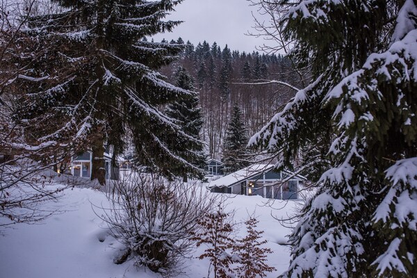 Ferienhaus Für 5 Gäste Mit 70m² In Ruhla (267450) - Brotterode
