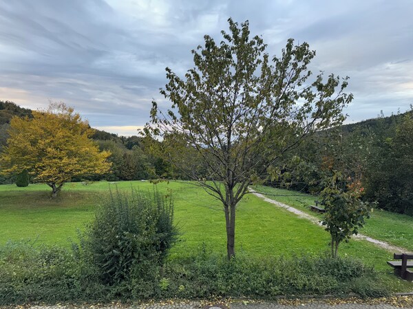 Auszeit Im Schwarzwald  Ihre Ferienappartement In Sasbachwalden - Seebach