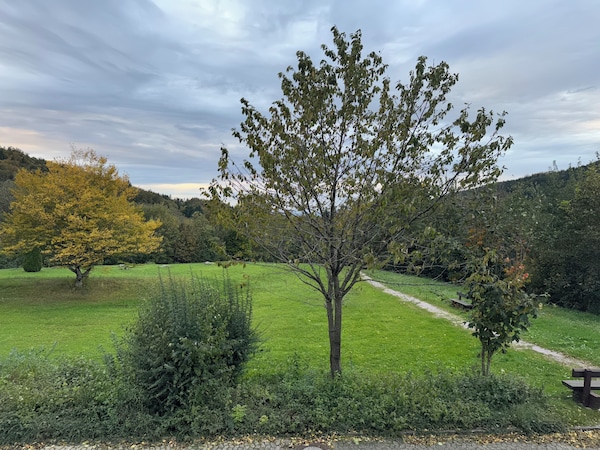 Auszeit Im Schwarzwald Ihre Ferienappartement In Sasbachwalden - Seebach
