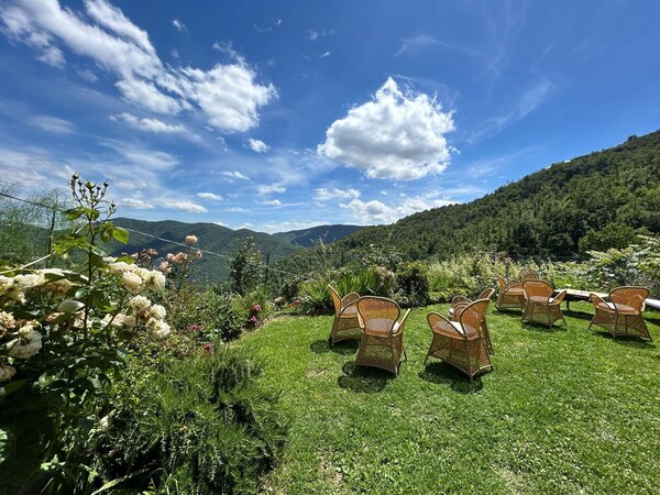 Organic Farm With A Wonderful View! Large Rooms And Large Pool. Alpaca Hikes - Toscana
