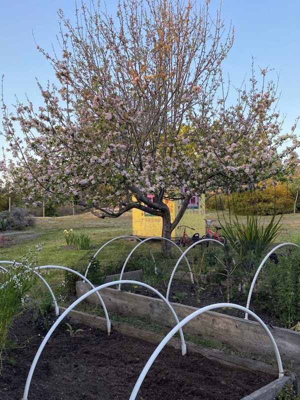 Private Garden Home Near Beach&downtown Ft.bragg-quiet & Nice! Pets Stay Free! - Fort Bragg, CA