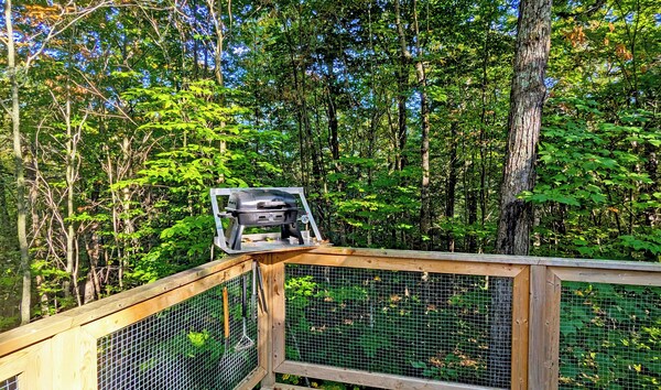 Cabane Dans Les Arbres #15 - Québec