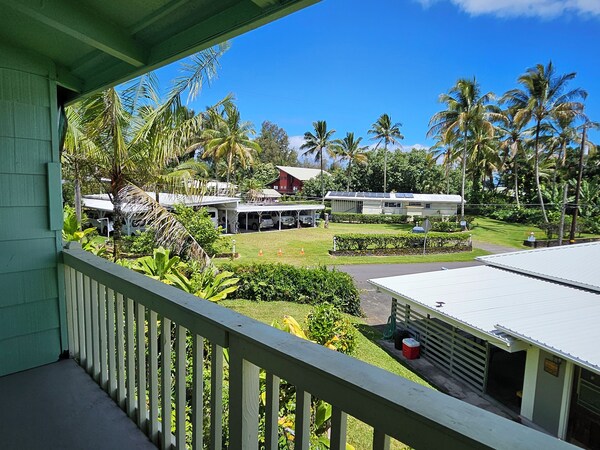 Yonegan Plumeria Hilo Hotel - Honu (Turtle) # 11 - Hilo, HI