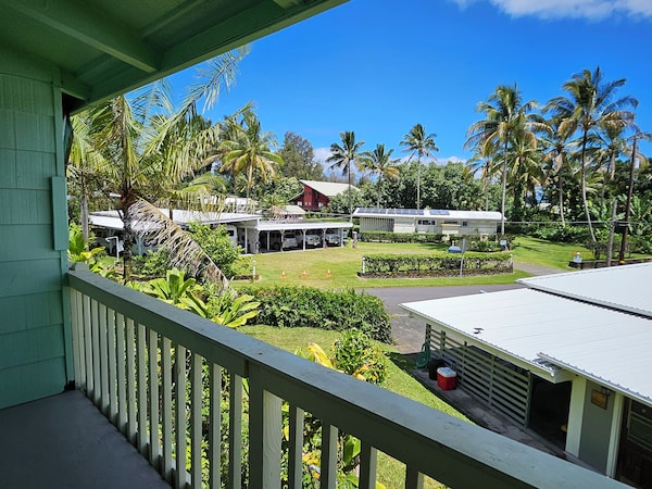 Yonegan Plumeria Hilo Hotel - Honu (Turtle) # 11 - Hilo, HI