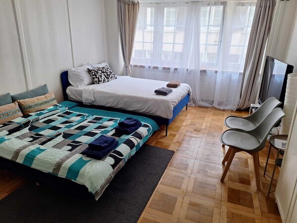 Zurich  City Center Apartment With Ac - Erlenbach