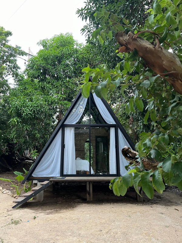 Cabañas A Orillas De Río Usumacinta Y La Estación Del Tren Maya Boca Del Cerro - Tabasco