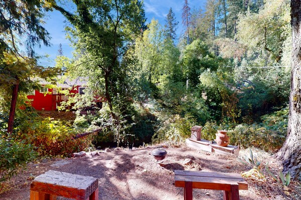 Charming 1 Bedroom Cabin. Queen Bed, Wifi, King Sofa Sleeper. Outdoor Seating. - Kelseyville, CA