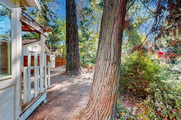 Charming Cabin With King Bed, Wifi Situated Along The Natural Spring. - Kelseyville, CA