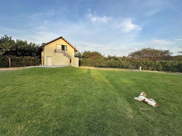Charming 2-bedroom Cottage In Warm Chincha With Wifi And Pool - San Clemente