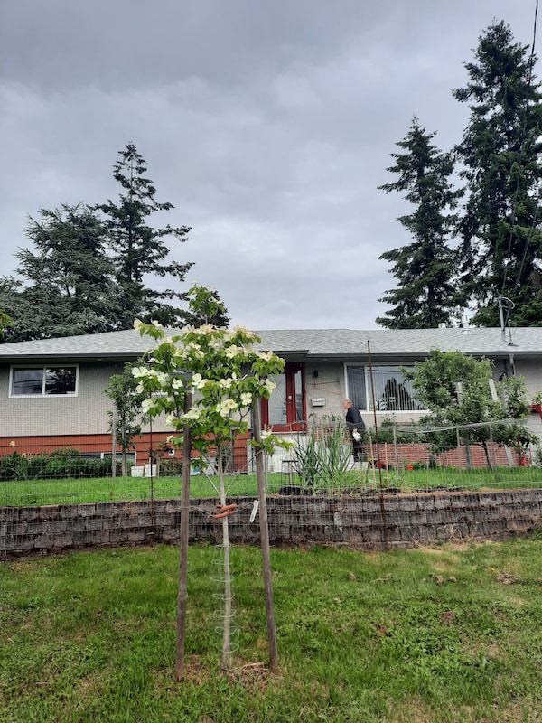 Private & Quiet\neasy To Enjoy\nrelaxing Patio & Yard\nample Breakfast - Oak Bay