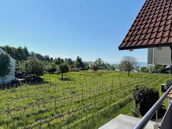 Pfänderblick Vacation Apartment - Cozy And Comfortable Family Accommodation - Nonnenhorn