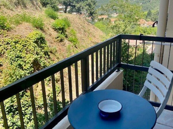 Cozy Studio With Balcony, Wifi, Near Spa - Céret