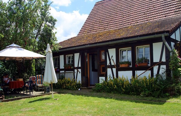 Appartement 'Fleurie' Avec Terrasse Partagée, Jardin Partagé Et Wi-fi - Haguenau
